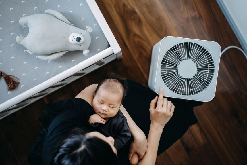 How to choose the best air purifier for your home in 2024 | The Straits Times